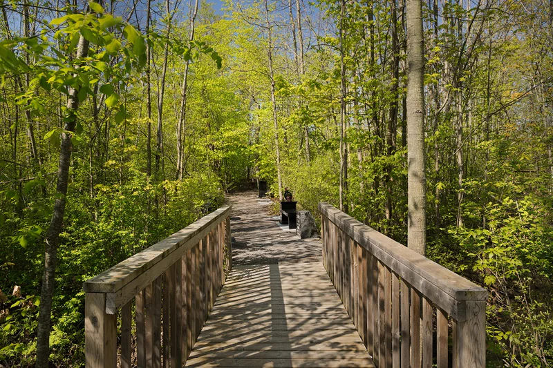 Cremation Niches and Monuments in Modern Cemeteries
